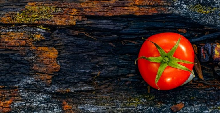 History of the Tomato: A Poisonous Reputation and Fruit Fights - ManyEats