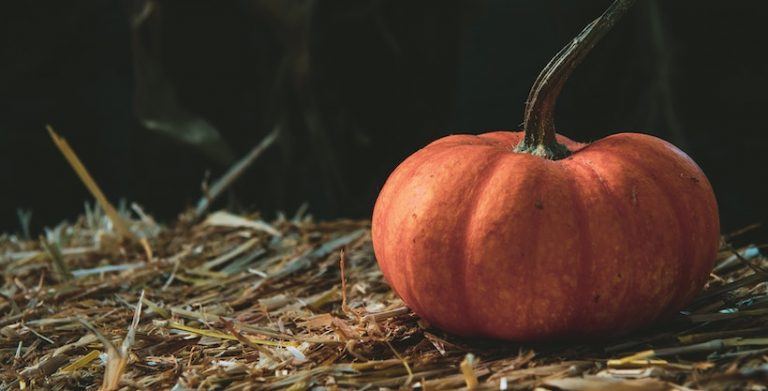 History of the Pumpkin – World-Traveler and Halloween Staple - ManyEats
