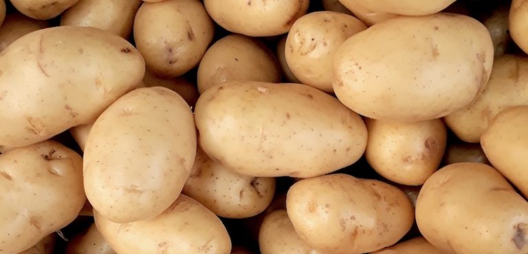 History of the Potato - A Stupendous Spud and Global Growth - ManyEats